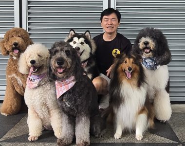 Singapore's Most Experienced Dog Trainer: Patrick Wong - Waggie